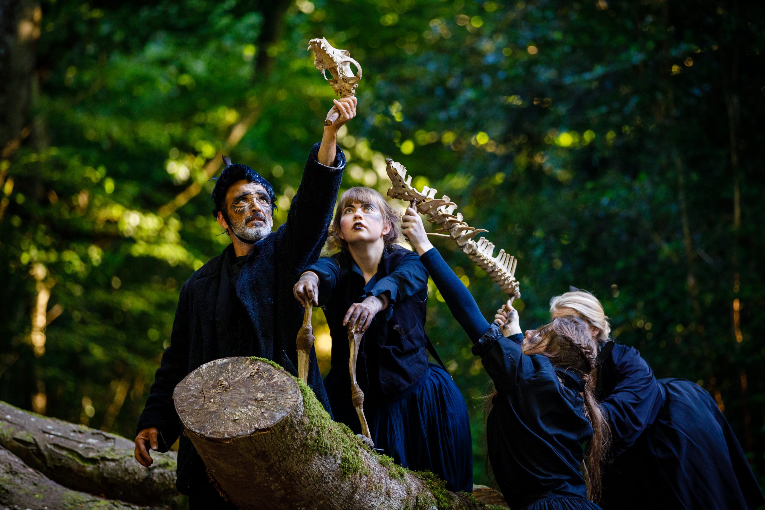 Wolf's Child 2017 - Wildworks : Wildworks